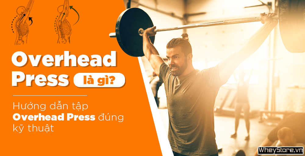 Overhead Press là gì? Hướng dẫn tập Overhead Press đúng kỹ thuật