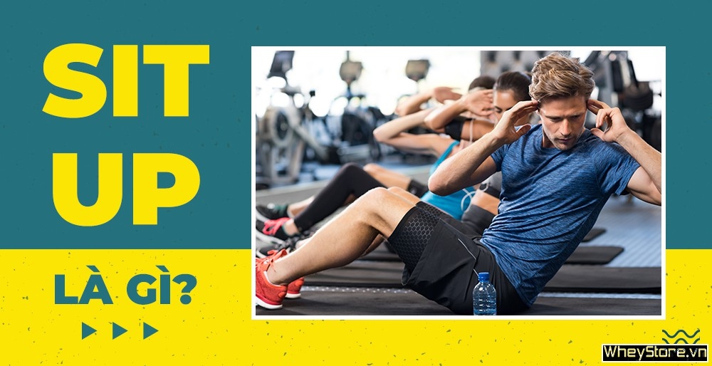Sit up là gì? Hướng dẫn tập Sit up đúng kỹ thuật cho người mới