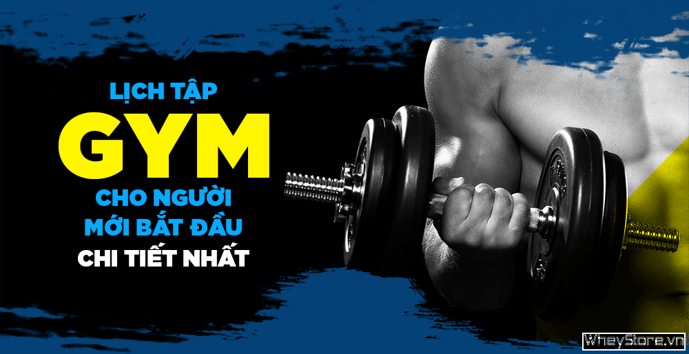 Lịch Tập Gym Cho Người Mới Bắt đầu 3 4 Buổi 1 Tuần Phù Hợp Nhất